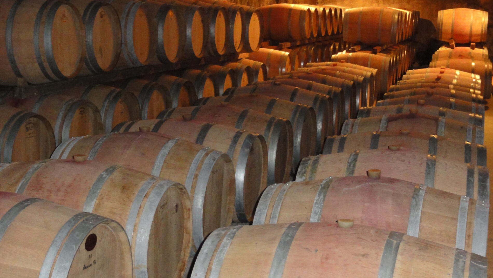 Domaine Courbin Heritage - Côté Sud Gironde